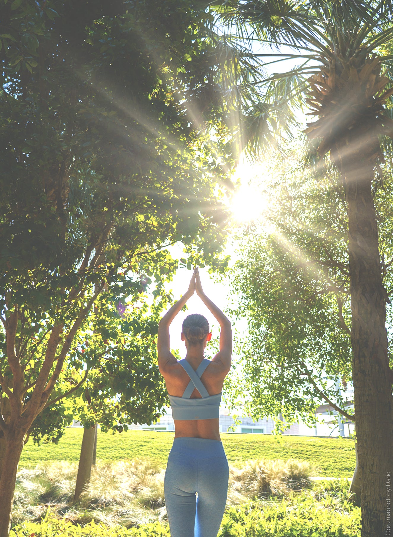 The Power Of Timing: Morning Vs Evening Exercise – ll YogaLines